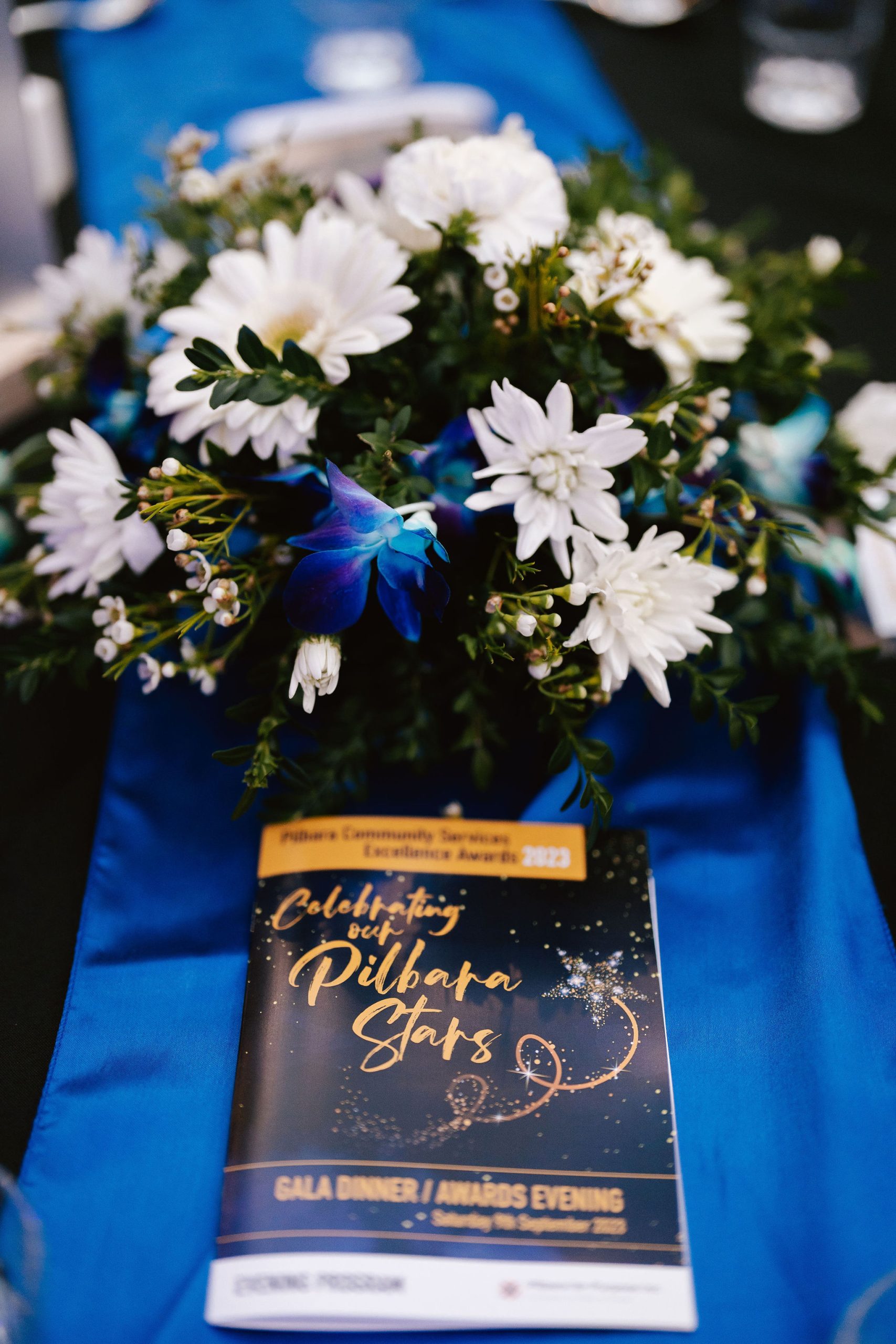 Outstanding organisations and individuals recognised at the Pilbara ...